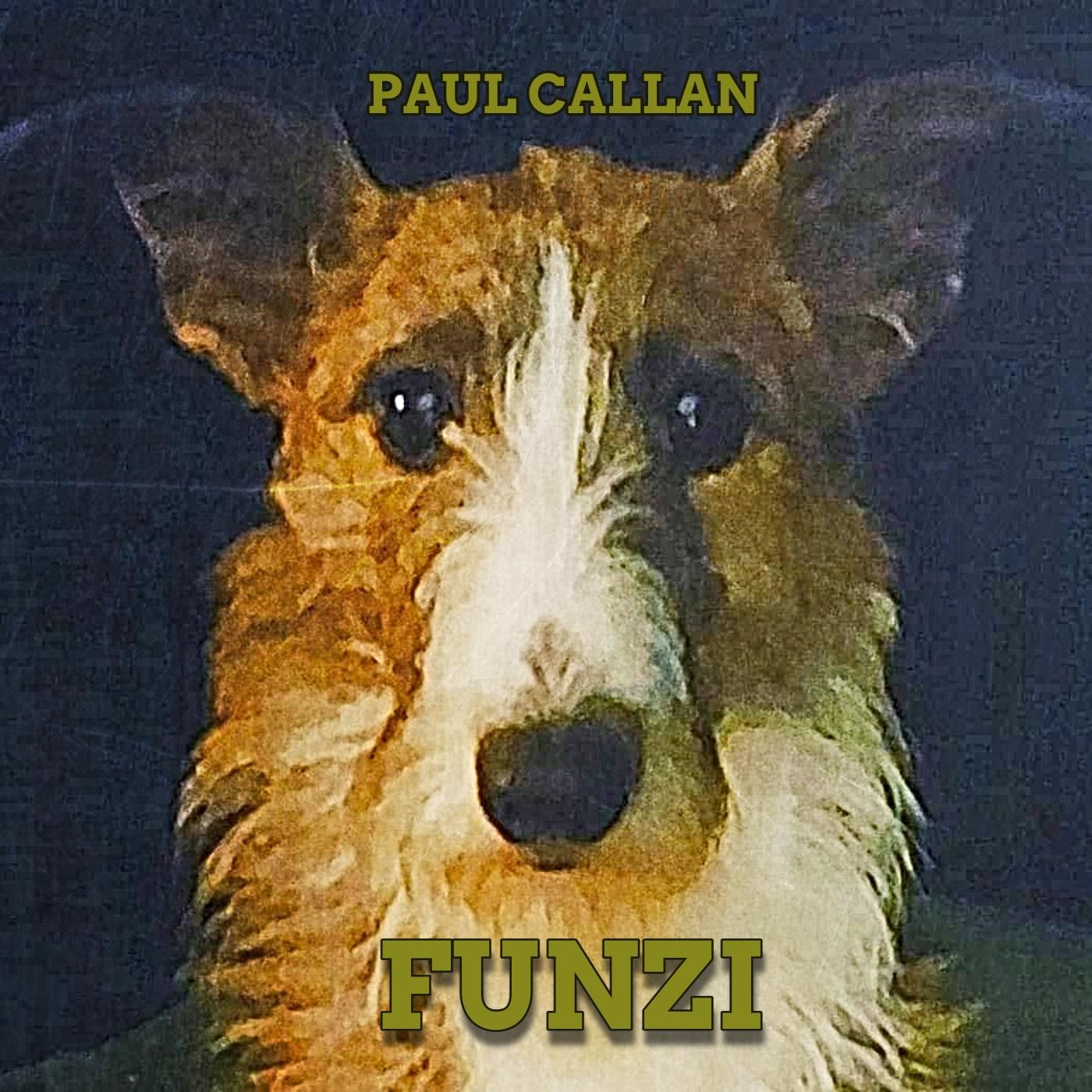 Paul Callan, "FUNZI" Debut Solo Album Released 31st March 2022 ...